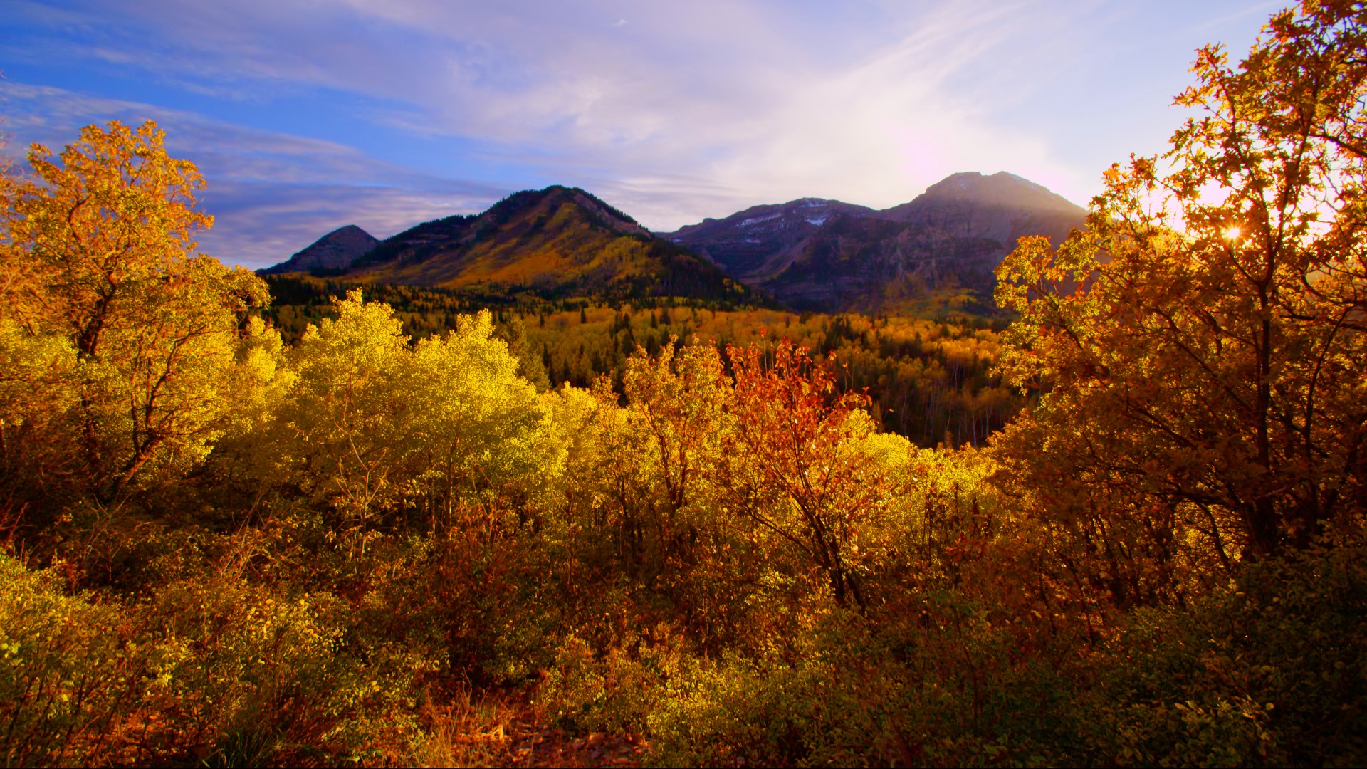 Visit Utah in the Fall | Kabino